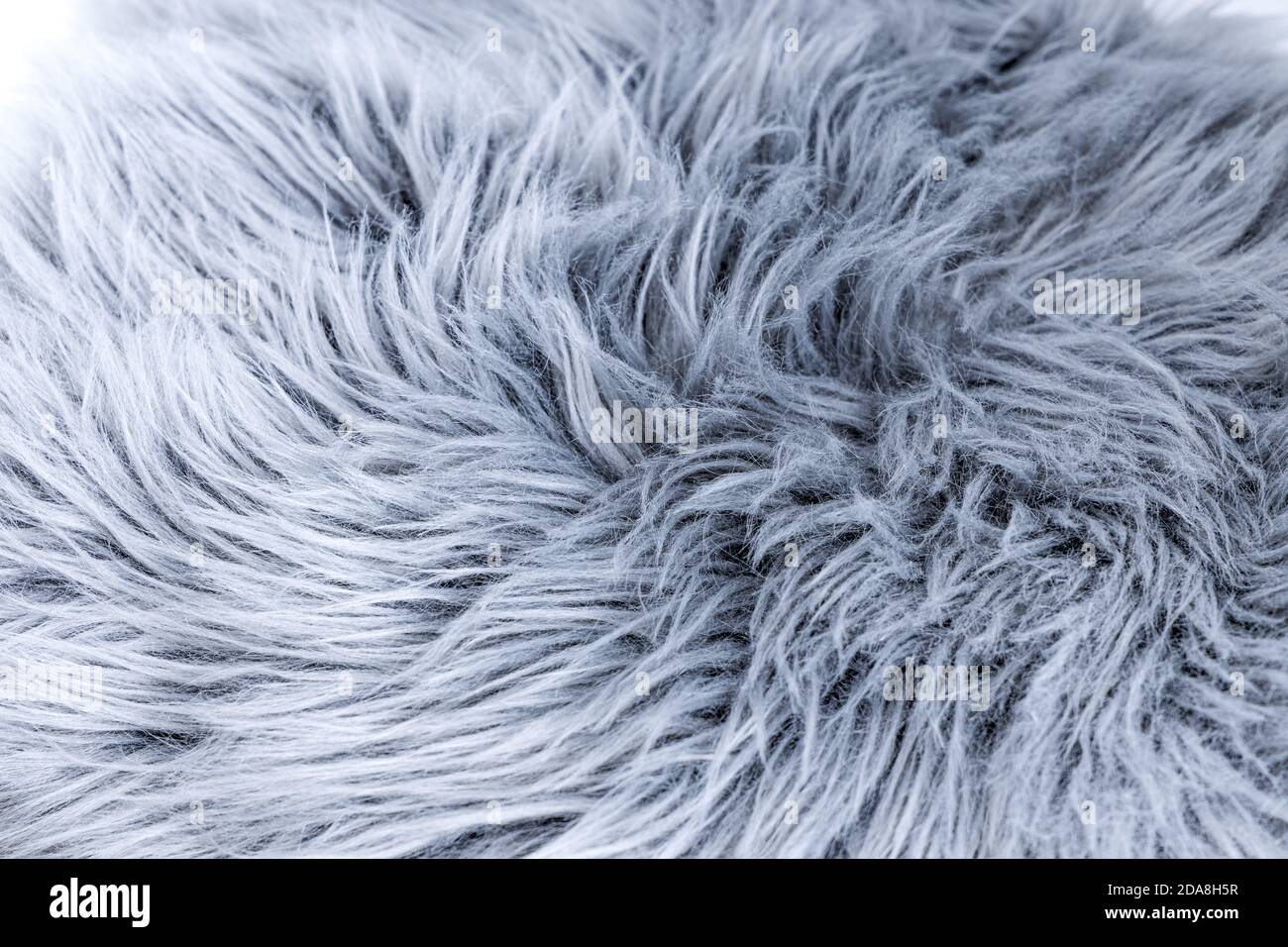 Top view of grey long fluffy fur in neutral light condition, use as ...