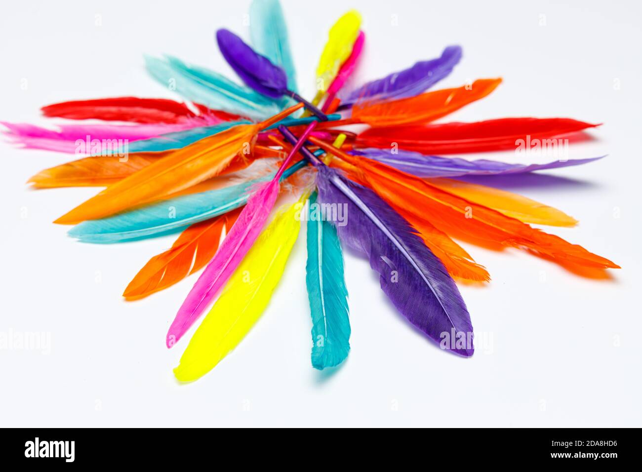 Feathers folded to form a flower or sun or a circle for handicrafts ...