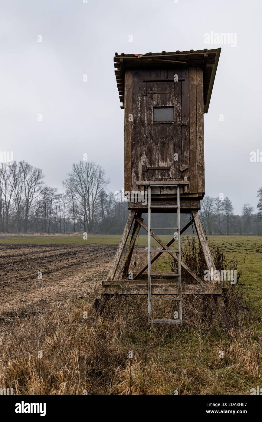 Wooden high seat for hunting at a cold frosty moody foggy winter day ...
