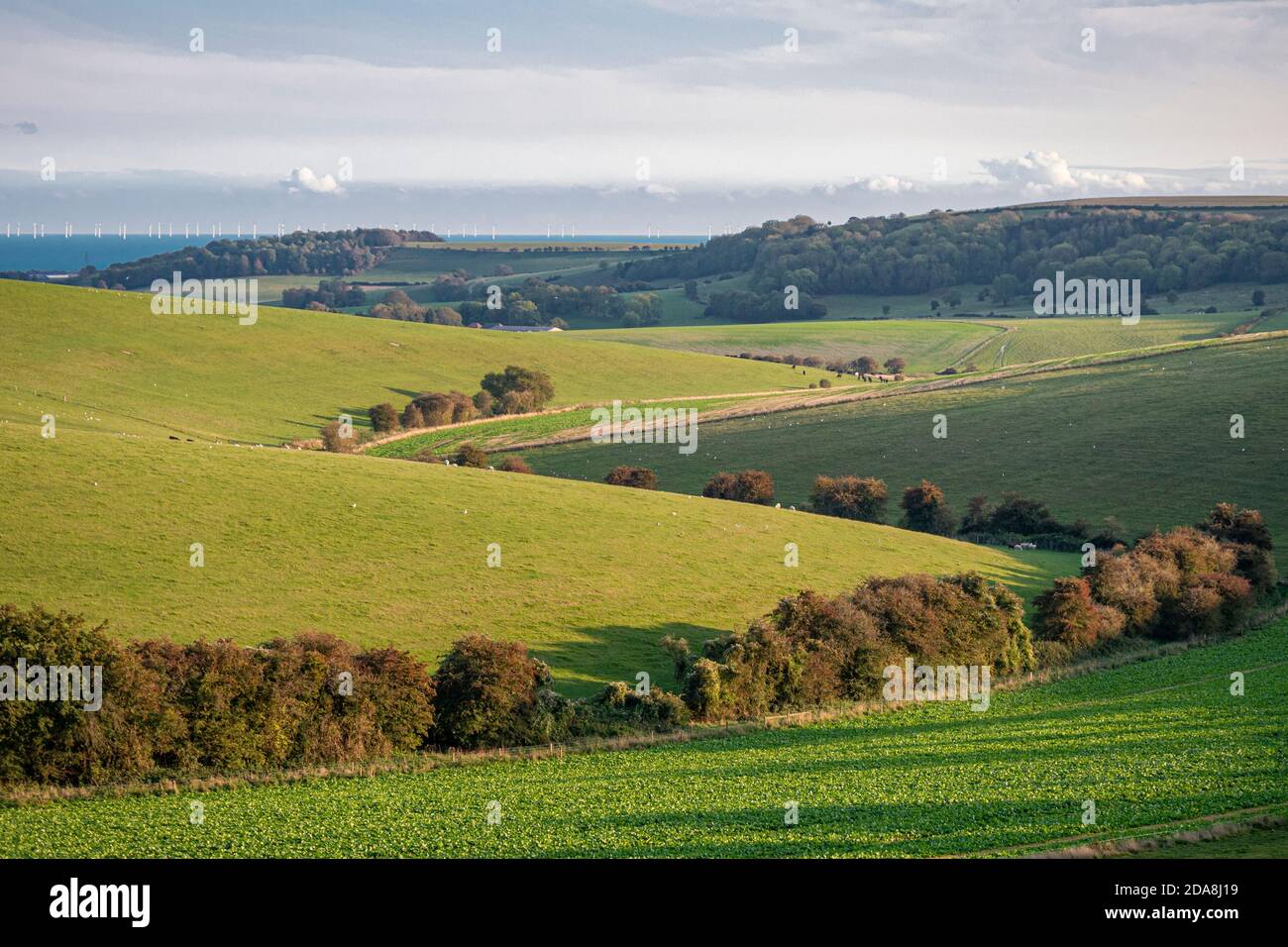 King charles english coast path hi-res stock photography and images - Alamy