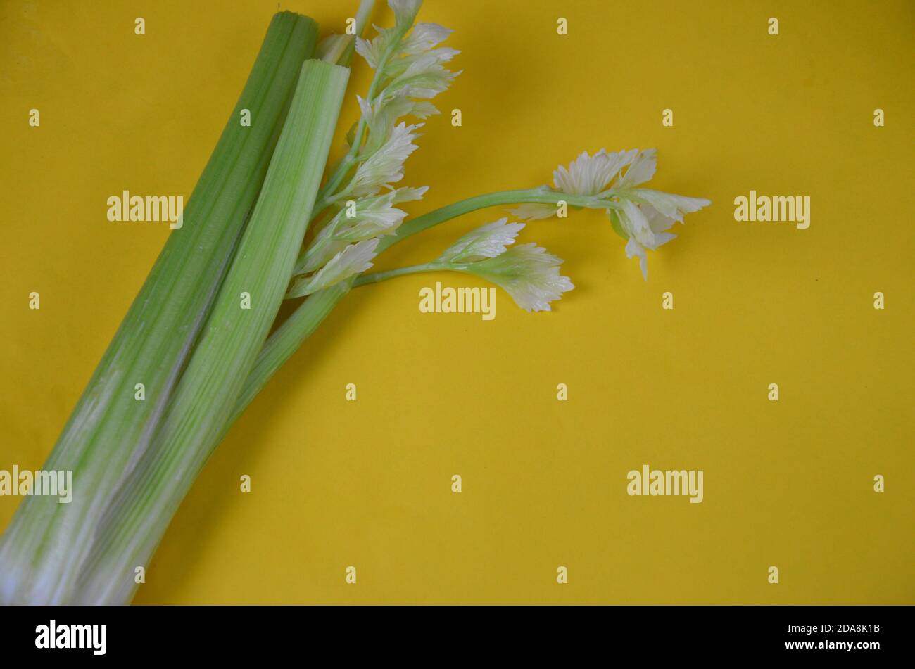 Bunch of fresh celery stalk with leave on yellow background Stock Photo ...