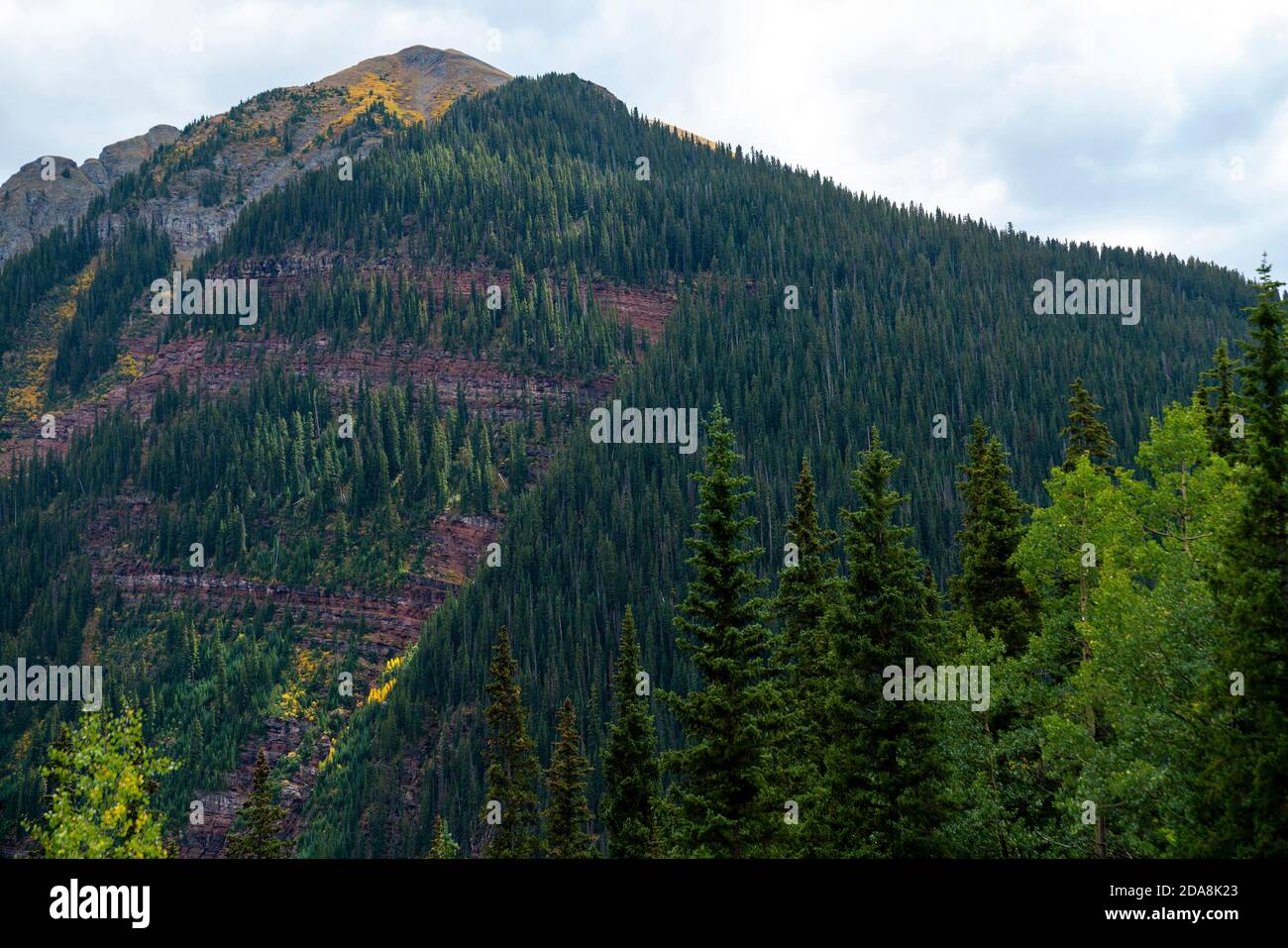 Steep mountains covered in pine trees in Southern Colorado Stock Photo ...