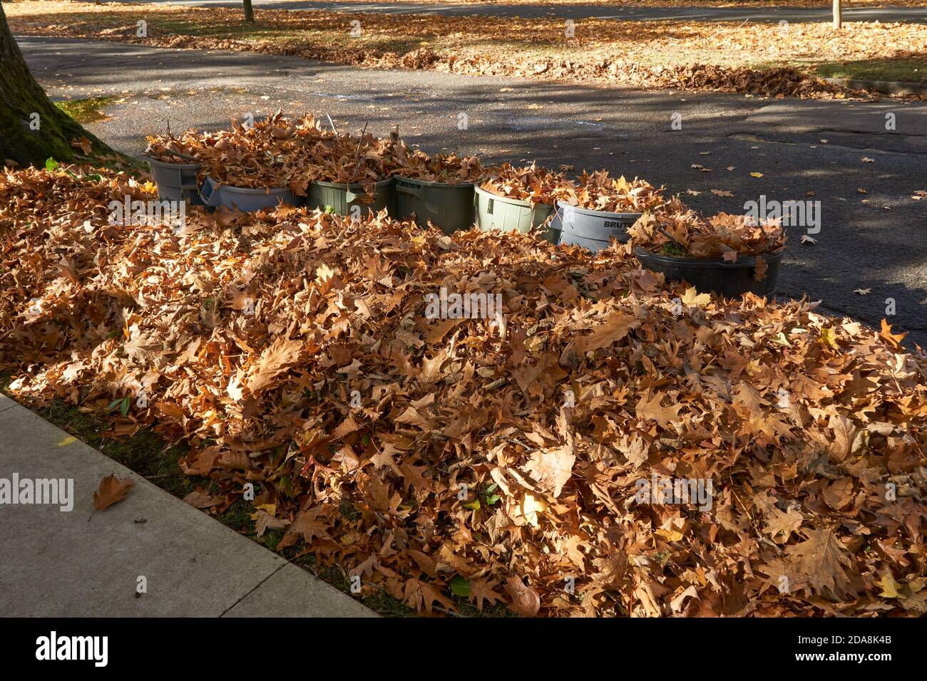 Pile of leaves hi-res stock photography and images - Alamy