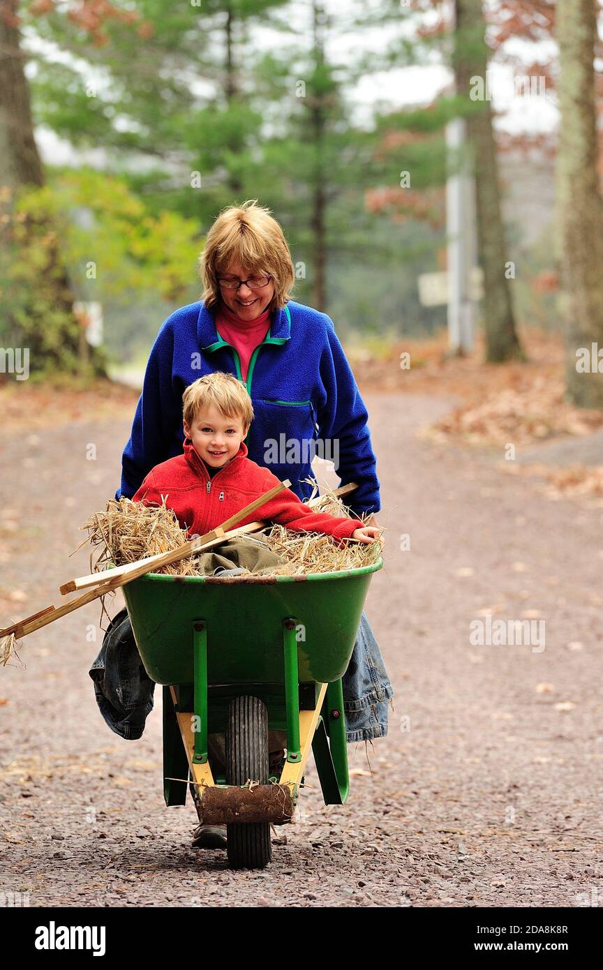 Grandmother with grandson working together Stock Photo - Alamy