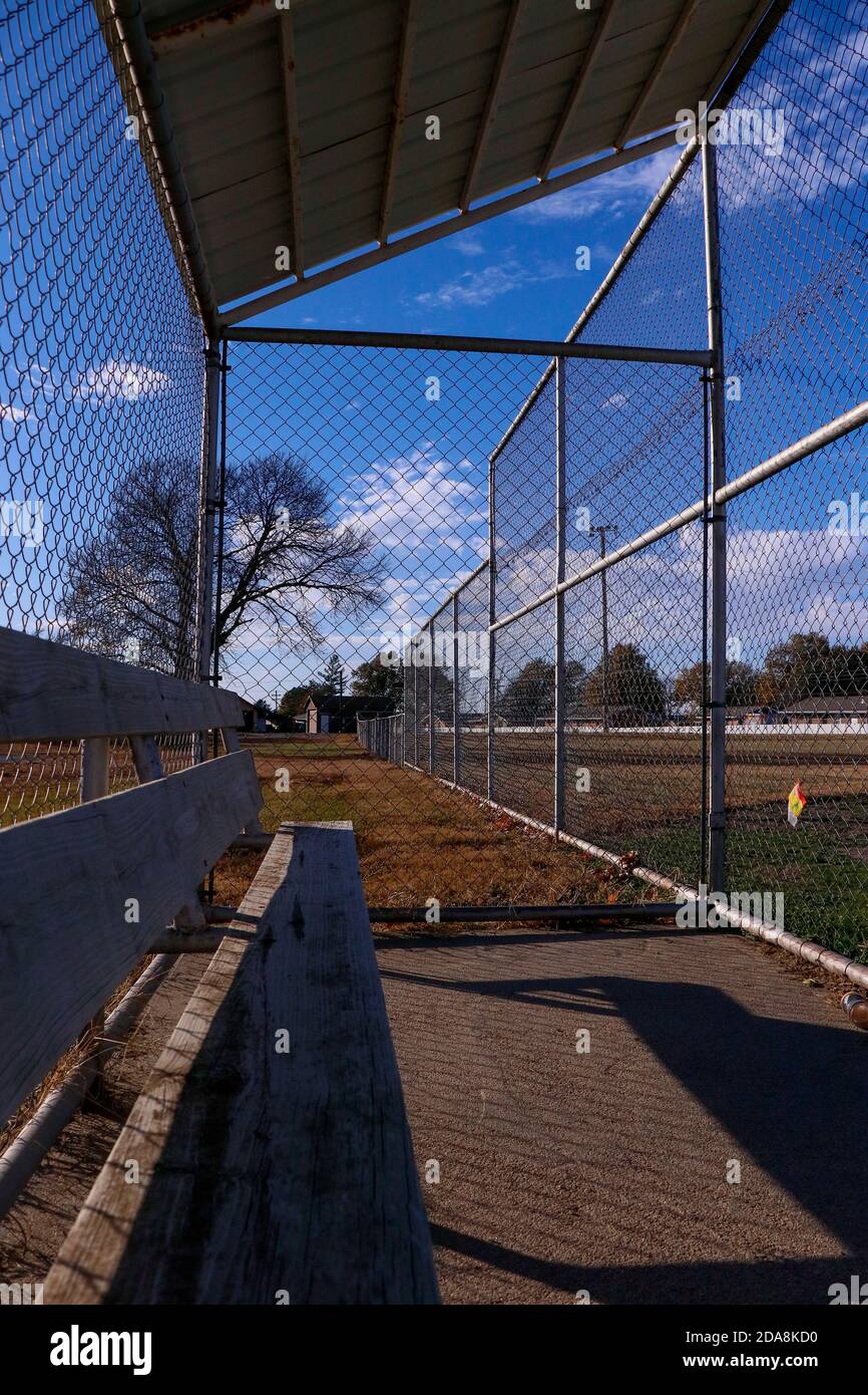 Softball bench in the dugout Stock Photo - Alamy