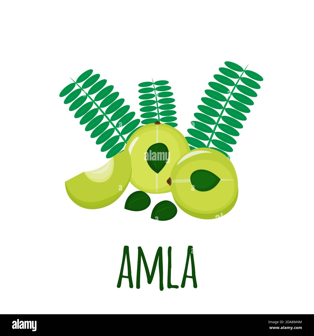 Amla, indian gooseberry, isolated on white background. Cosmetics and ...