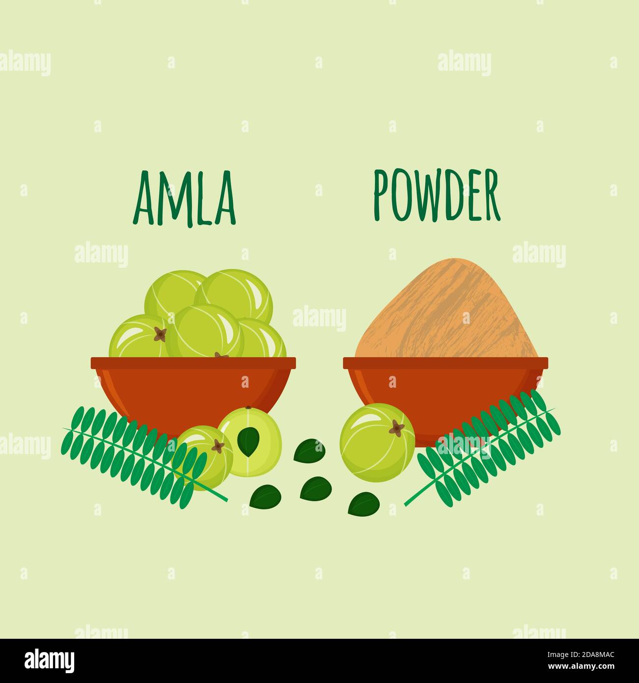 Amla set, indian gooseberry, powder, leaves isolated on white ...