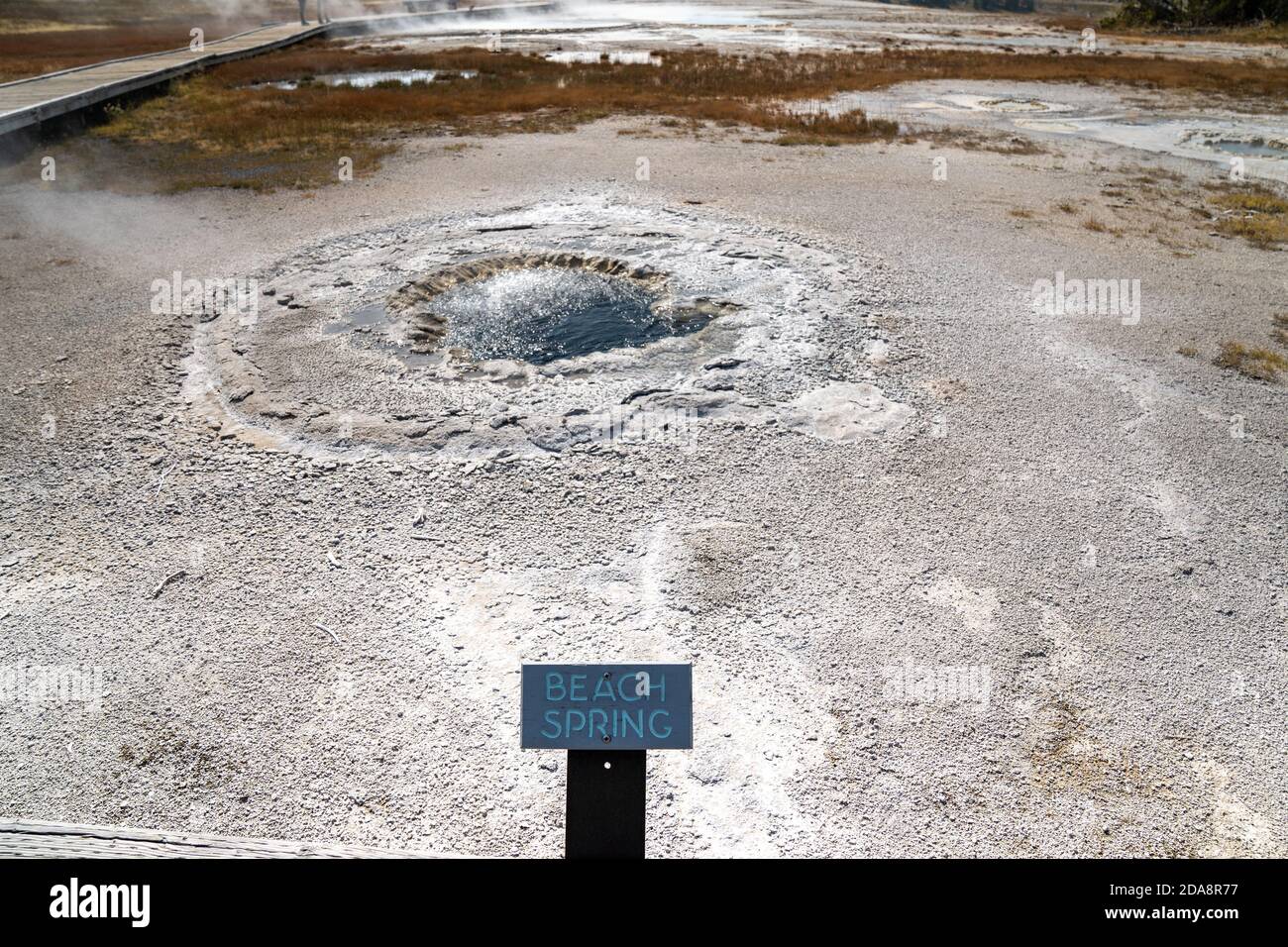 Beach Spring, a hot spring thermal feature in the Upper Geyser Basin in ...
