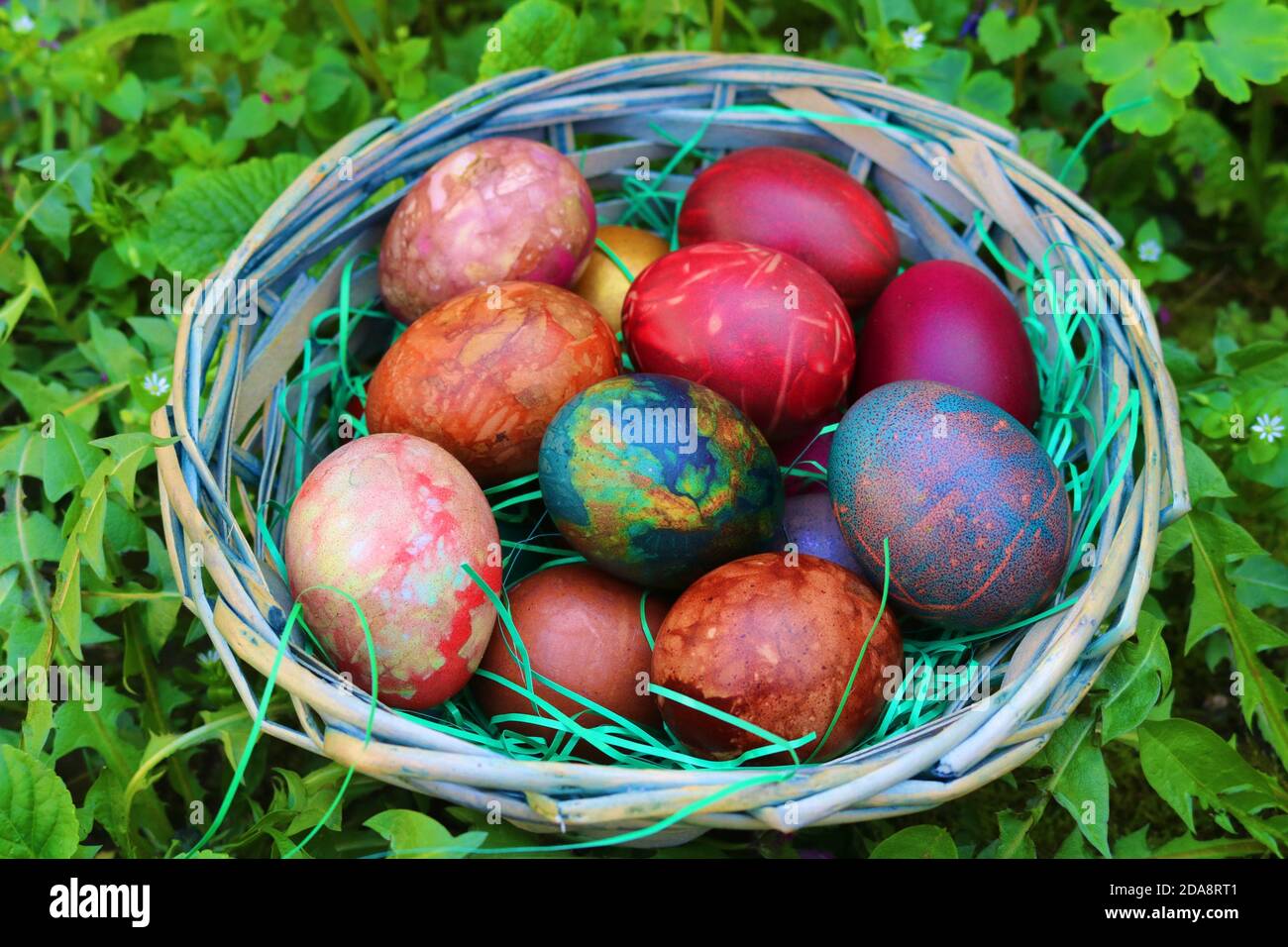 Traditional holiday drink egg hi-res stock photography and images - Alamy