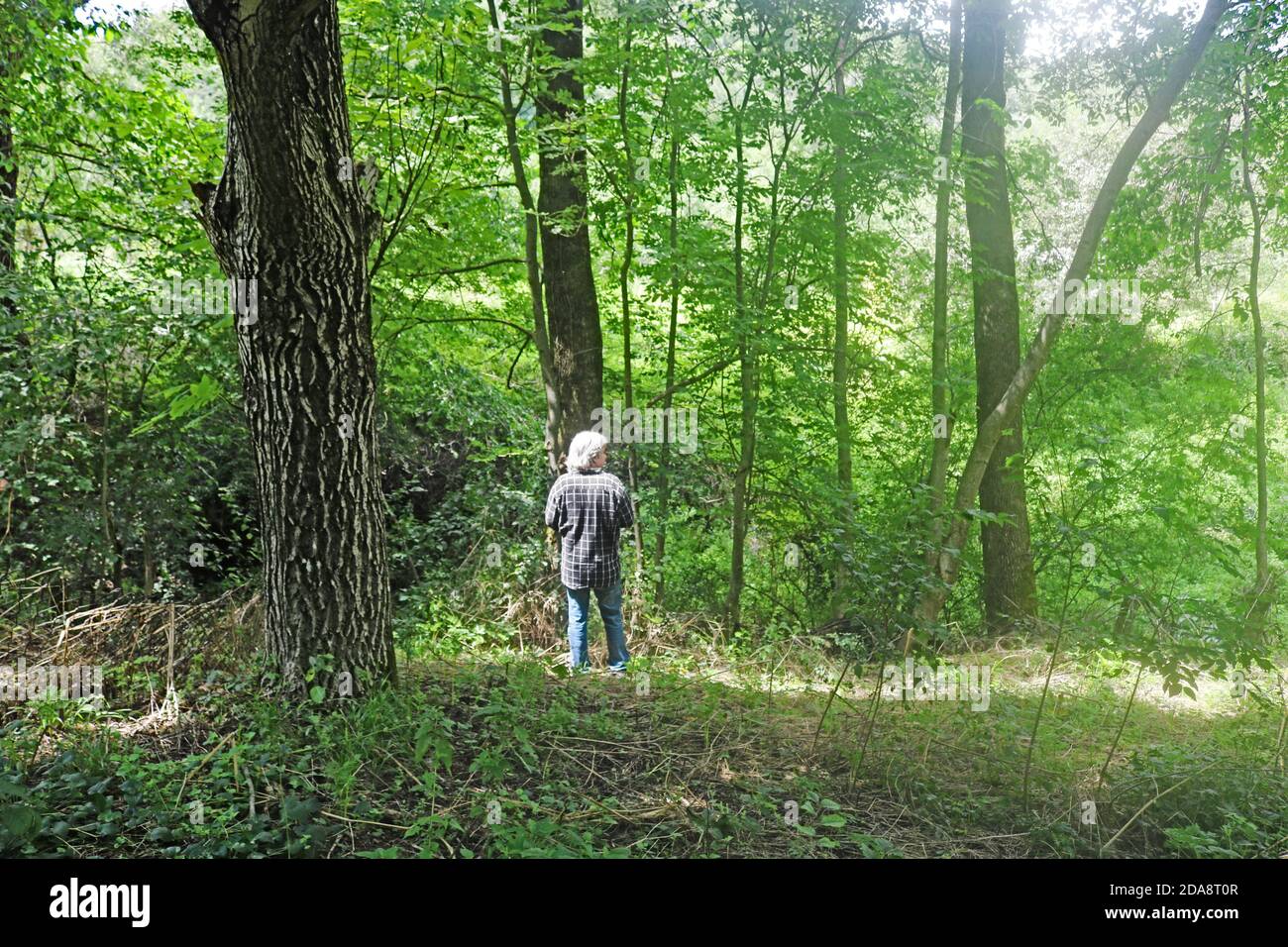 Man in deep forests hi-res stock photography and images - Alamy