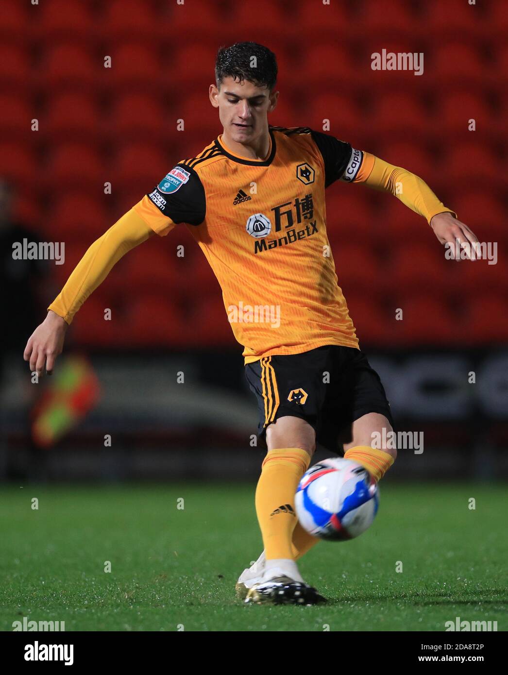 Wolves christian marques hi-res stock photography and images - Alamy