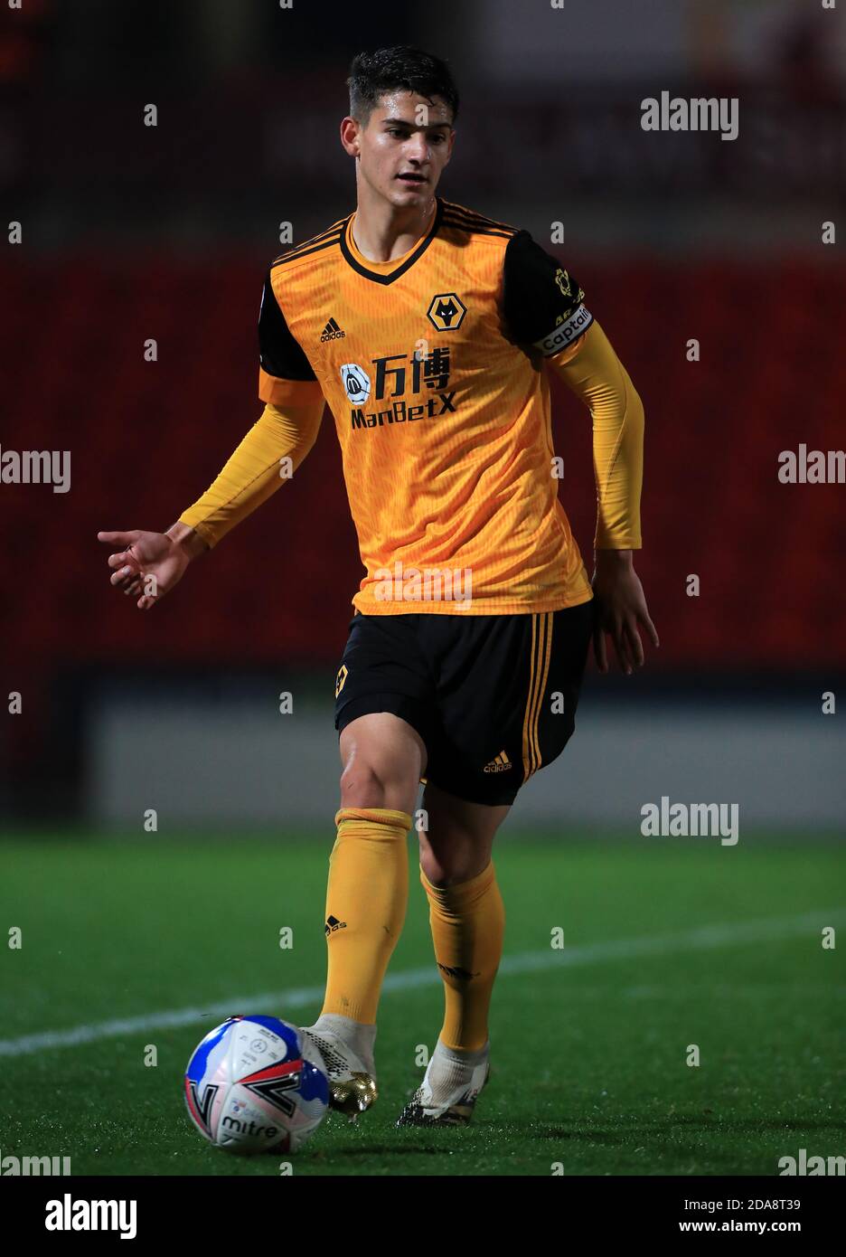 Wolves christian marques hi-res stock photography and images - Alamy