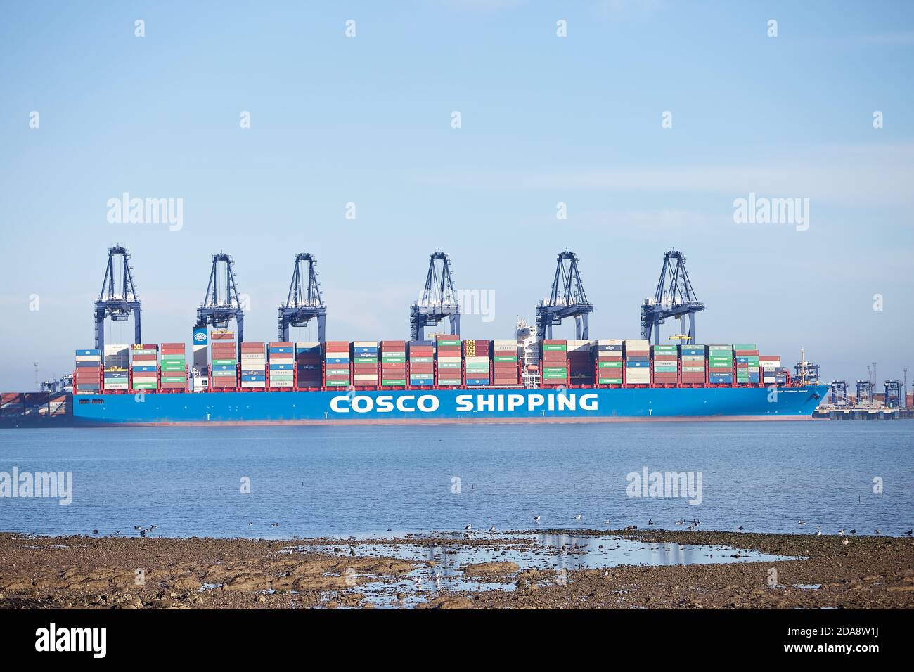 Container ship Cosco Shipping Pisces docked at the Port of Felixstowe ...