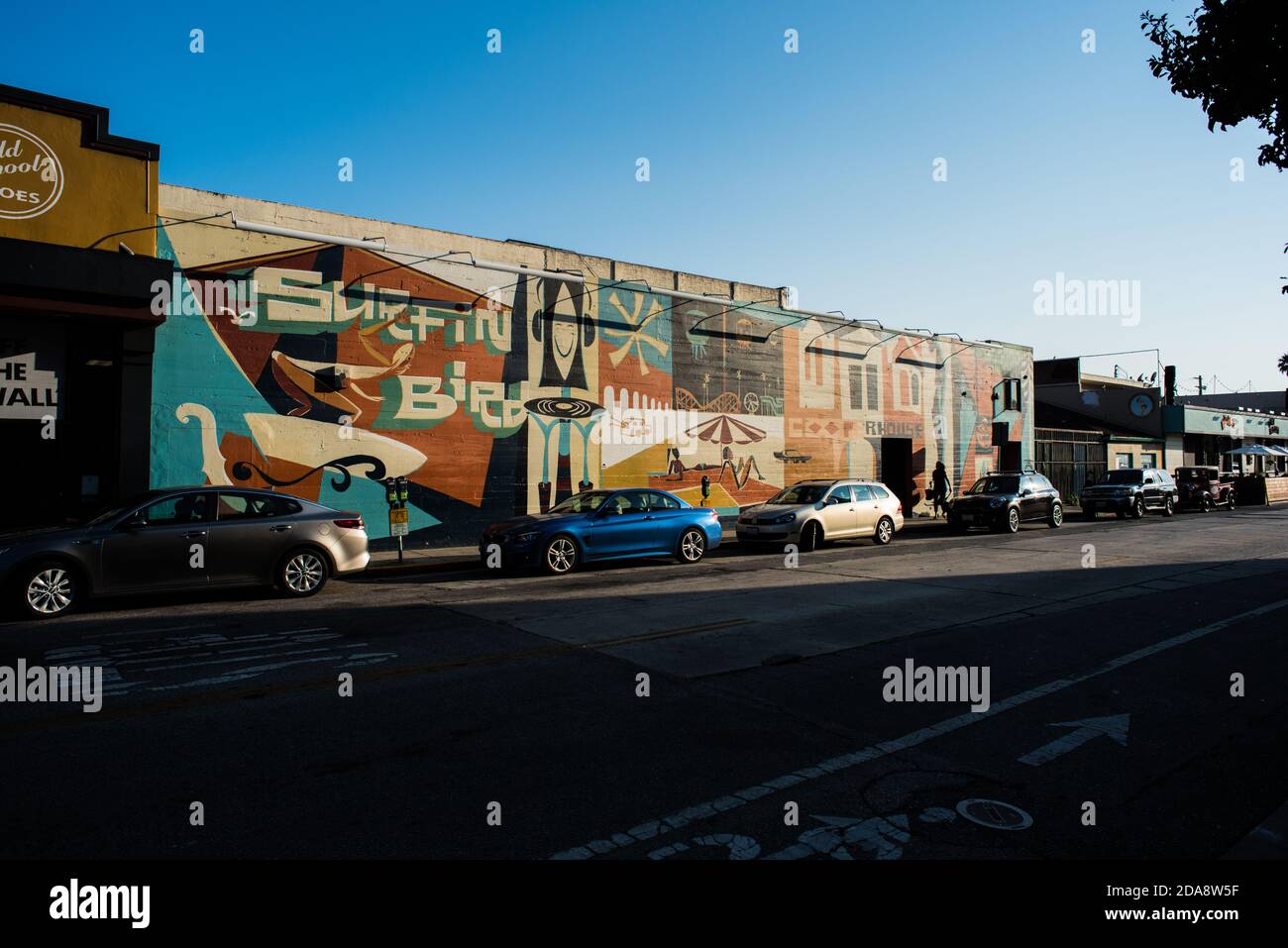 Surfing bird on a wall Stock Photo - Alamy