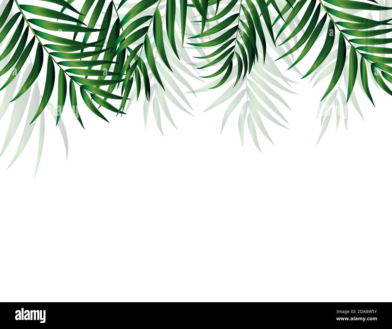 Tropical Natural Palm Background. Illustration Stock Photo - Alamy