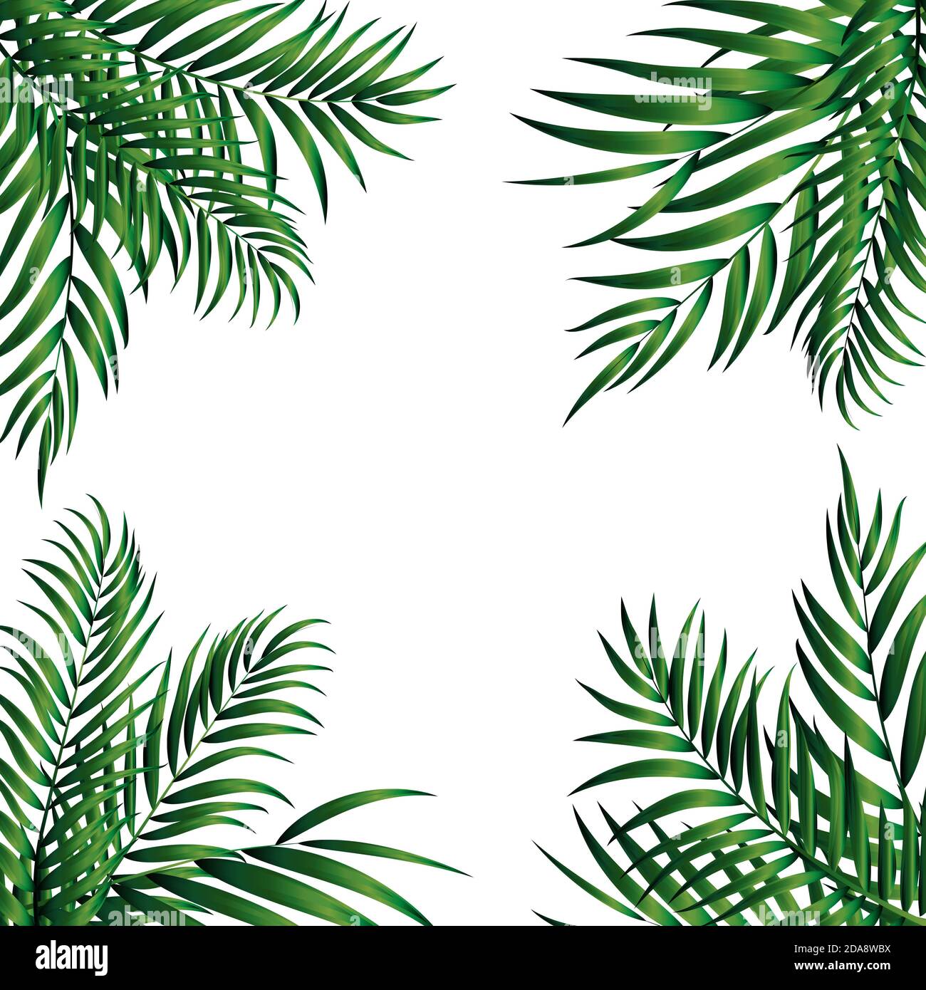 Tropical Natural Palm Background. Illustration Stock Photo - Alamy