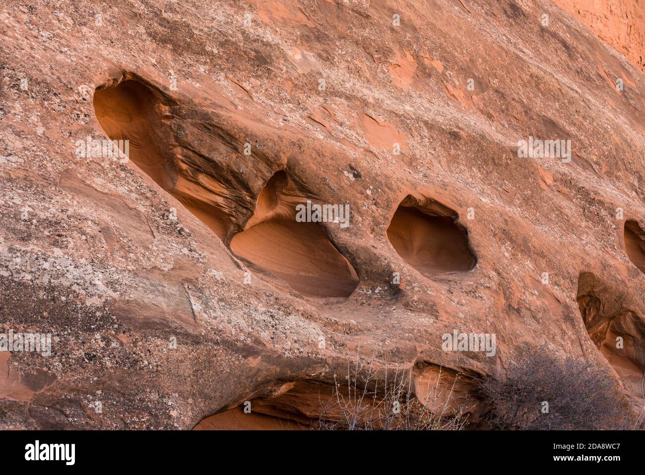 Rock lace hi-res stock photography and images - Alamy