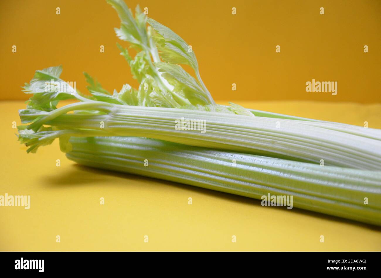 Vegetable smoothie made of celery leaf and broccoli, healthy life style ...