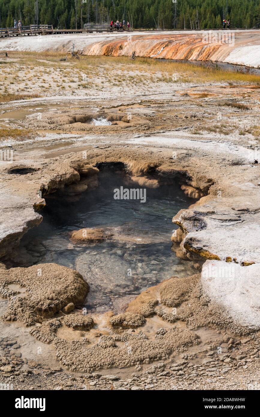 Jagged spring hi-res stock photography and images - Alamy