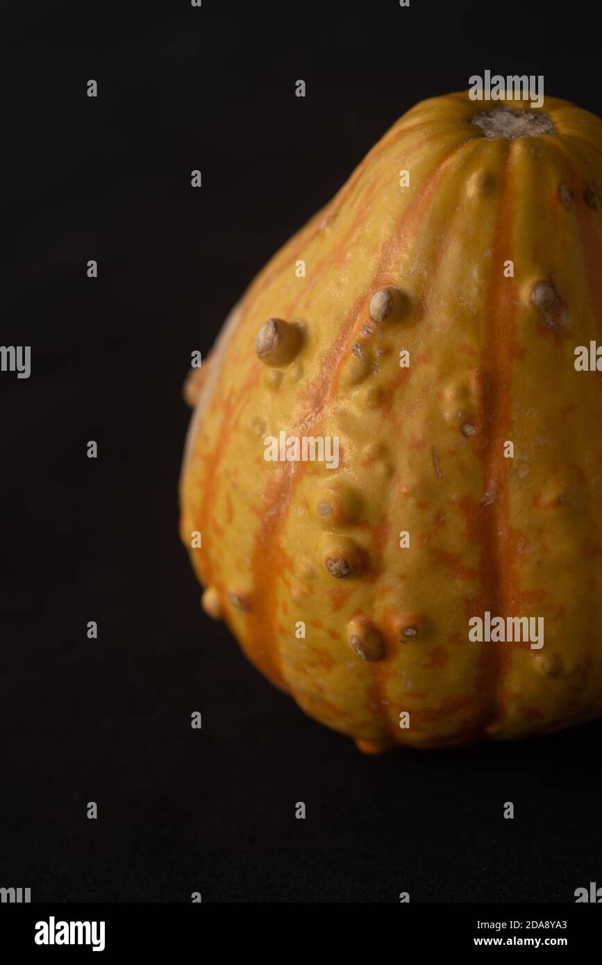 Exotic pumpkin macro close up, selective focus Stock Photo - Alamy