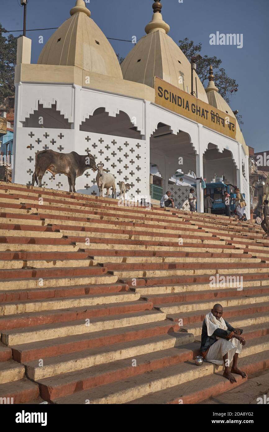 Varanasi, India, January 2008. A man sitting on the steps of Scindia ...