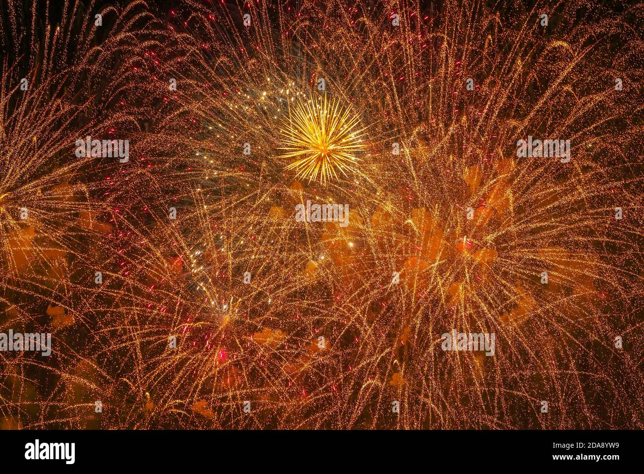 Colorful golden fireworks, glowing rain of comets and twinkling stars ...