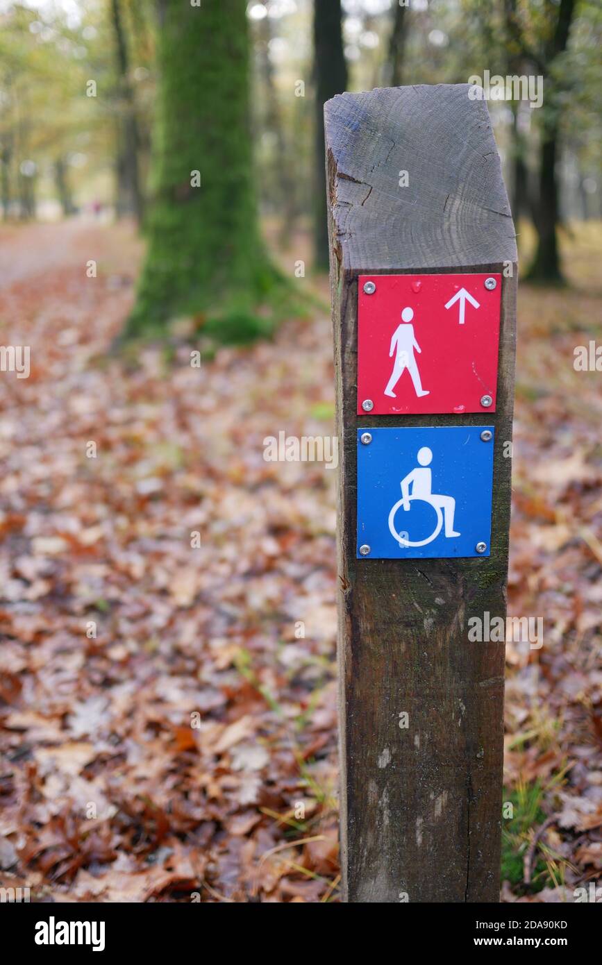 Signs showing a wheelchair accessible path in forest in the Netherlands ...