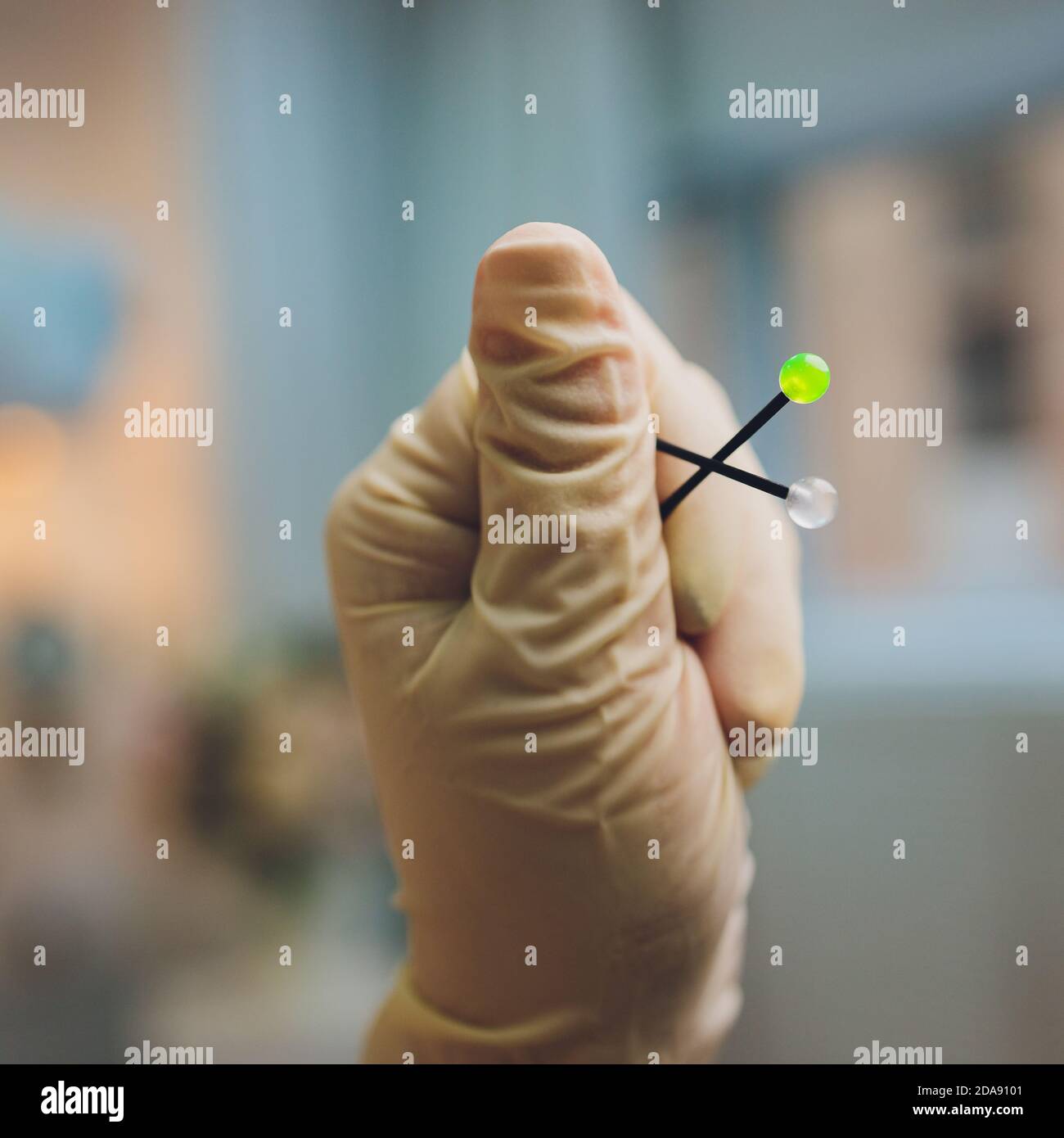 ear jewelry, piercing in hand with a disposable glove Stock Photo - Alamy