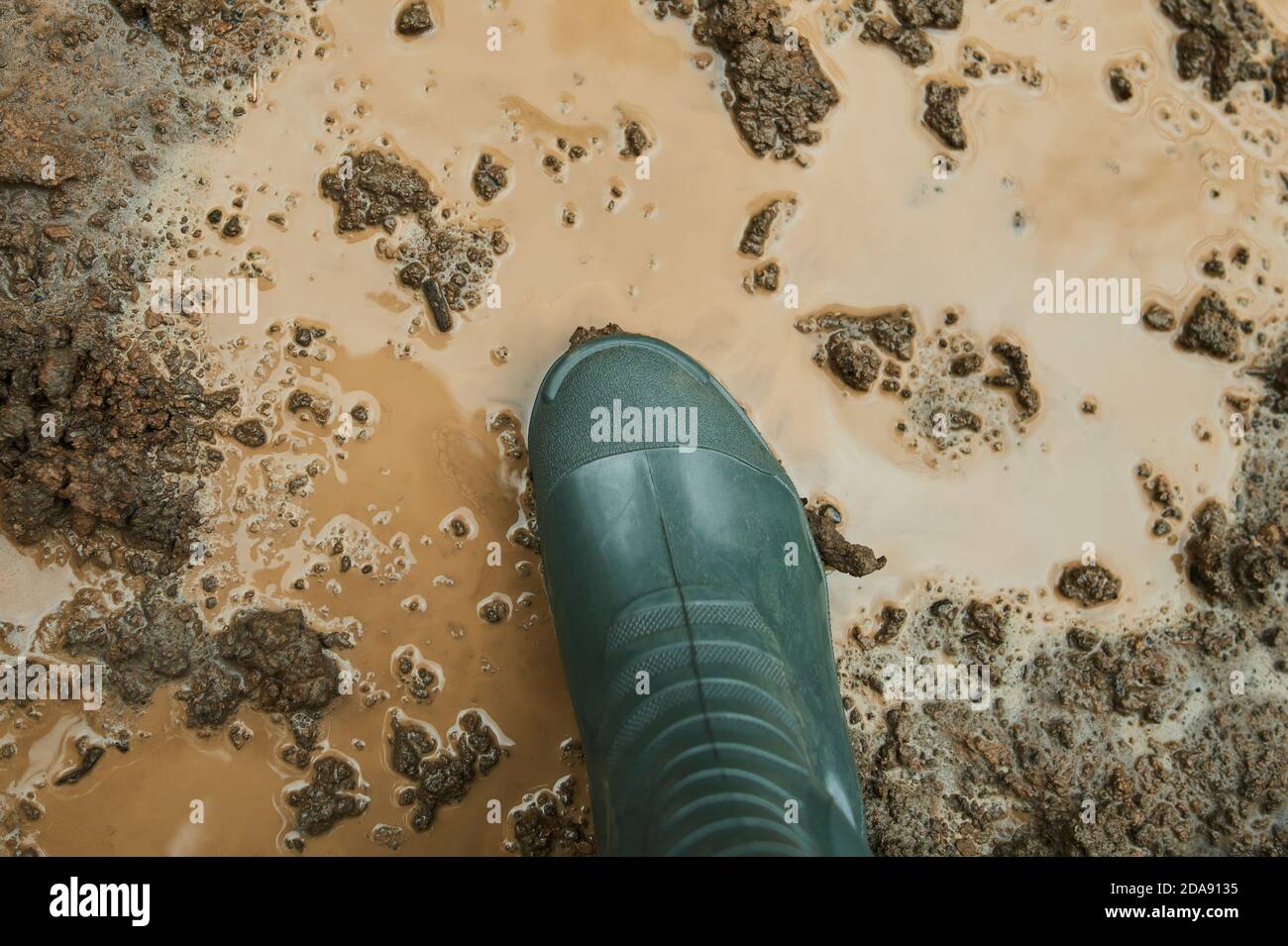 road wet muddy of backcountry countryside in rainy day Stock Photo - Alamy