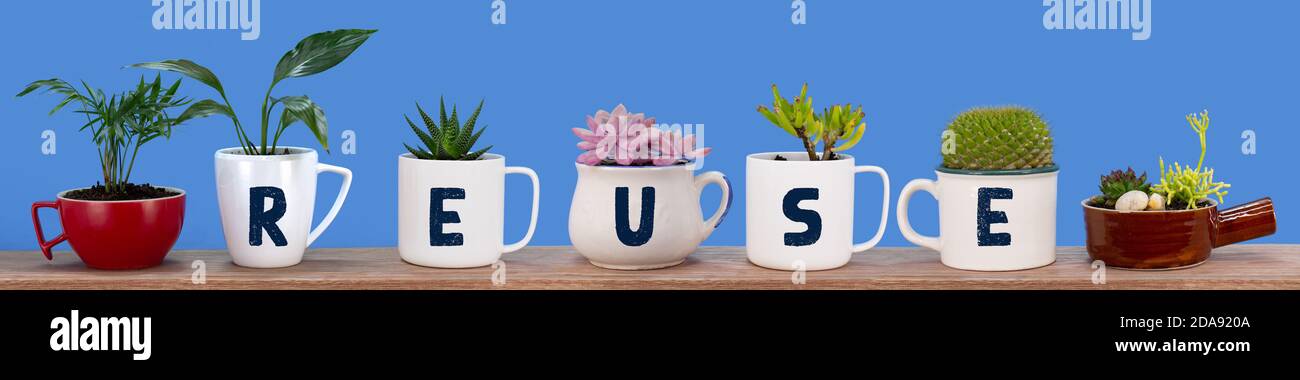 line of houseplants grown in recycled mug and tea pot on wooden shelf ...