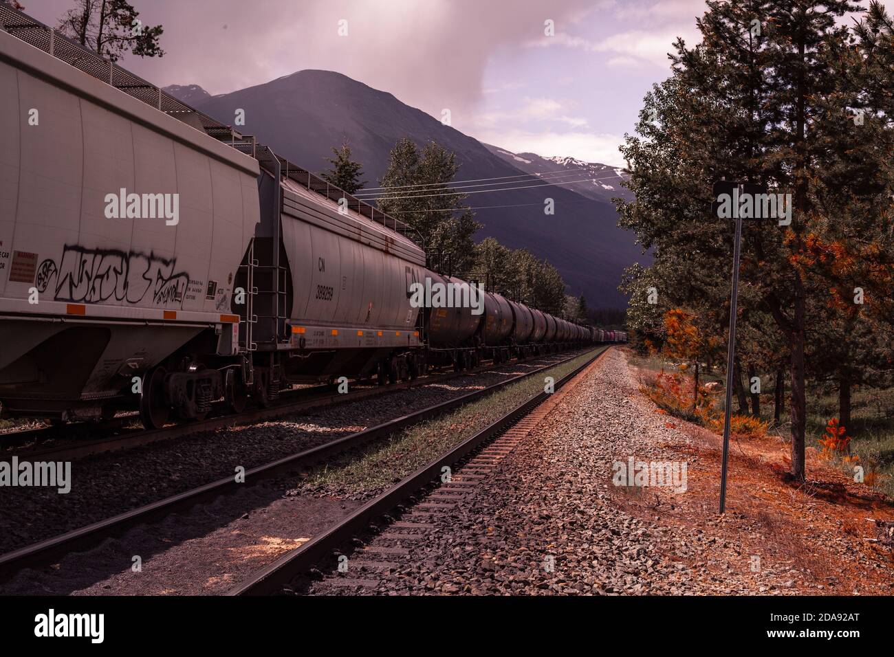 Train on railways in the countryside at fall Stock Photo - Alamy