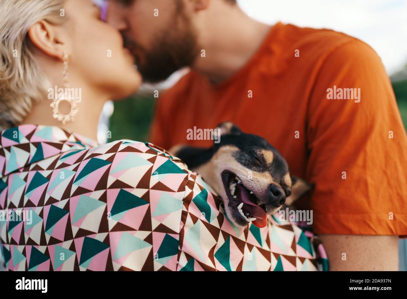 Smiling dog face while his humans kissing embracing it Stock Photo - Alamy