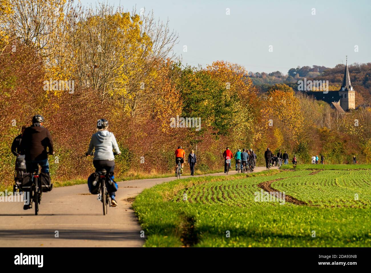 Cycle path through the Ruhraue floodplain, near Essen-Kettwig, south of ...