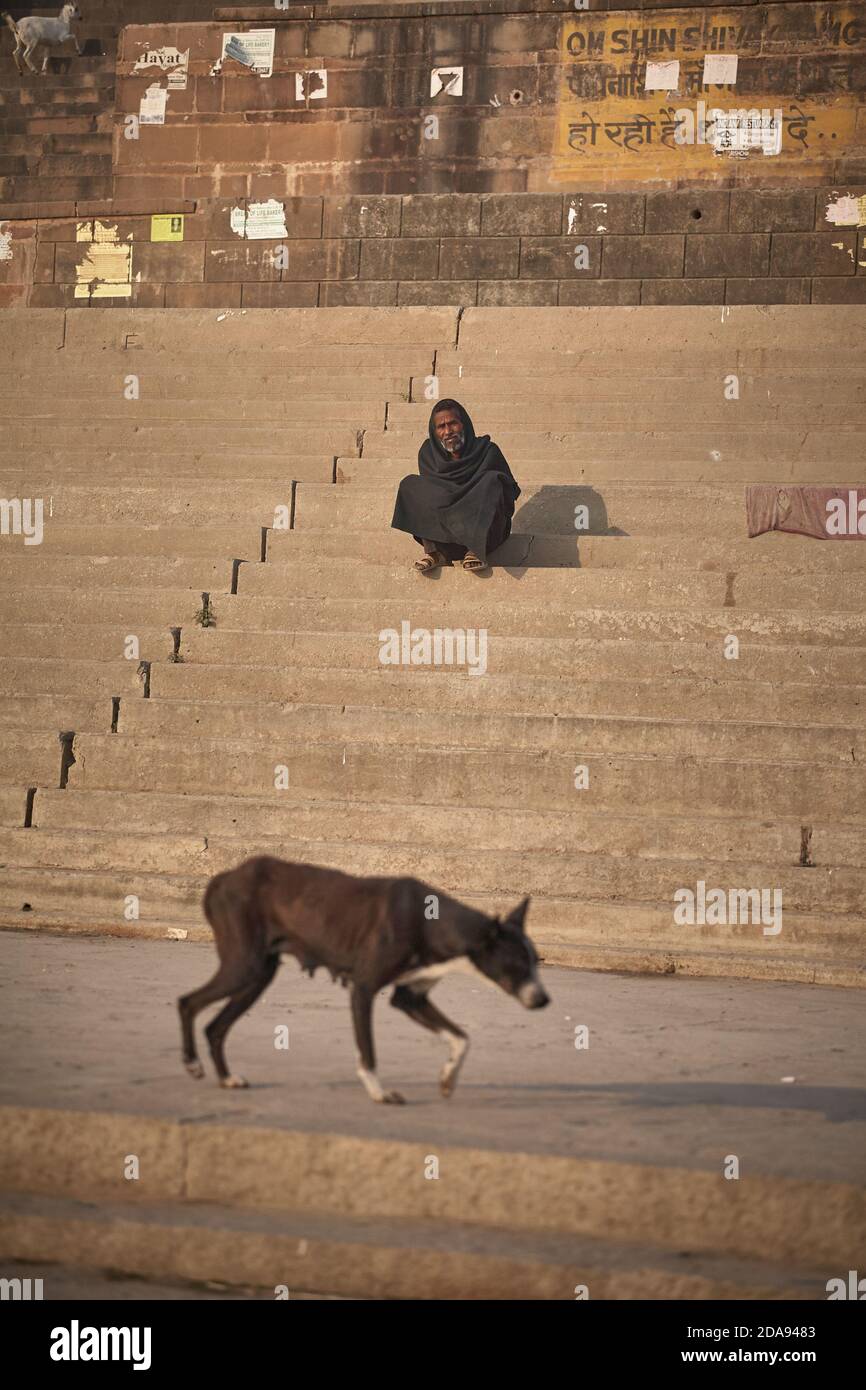 Varanasi, India, January 2008. A stray dog passes in front of a man ...
