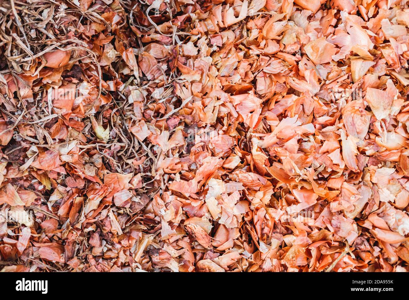 Dry organic remains of vegetable peelings Stock Photo - Alamy