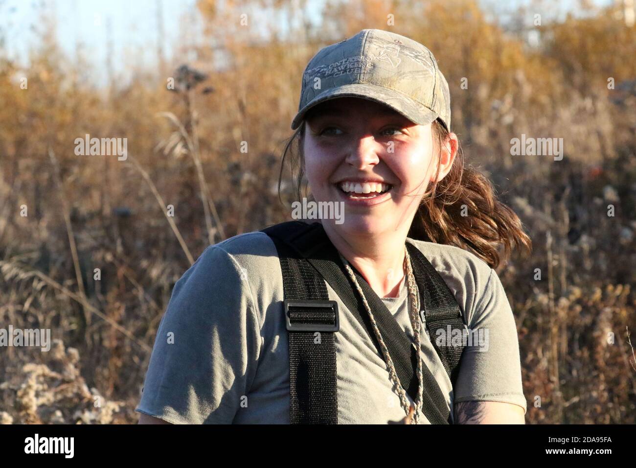 Harris Hawk used in Falconry Rabbit hunt Stock Photo - Alamy