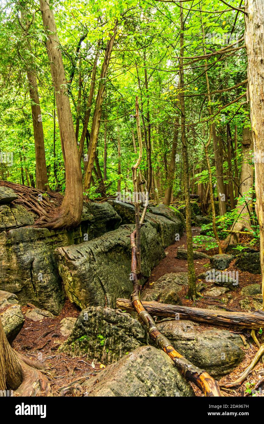 Durham Conservation Area and Hiking trail Stock Photo - Alamy