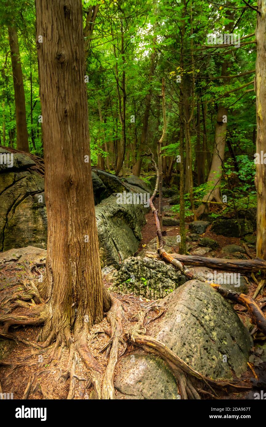 Durham Conservation Area and Hiking trail Stock Photo - Alamy