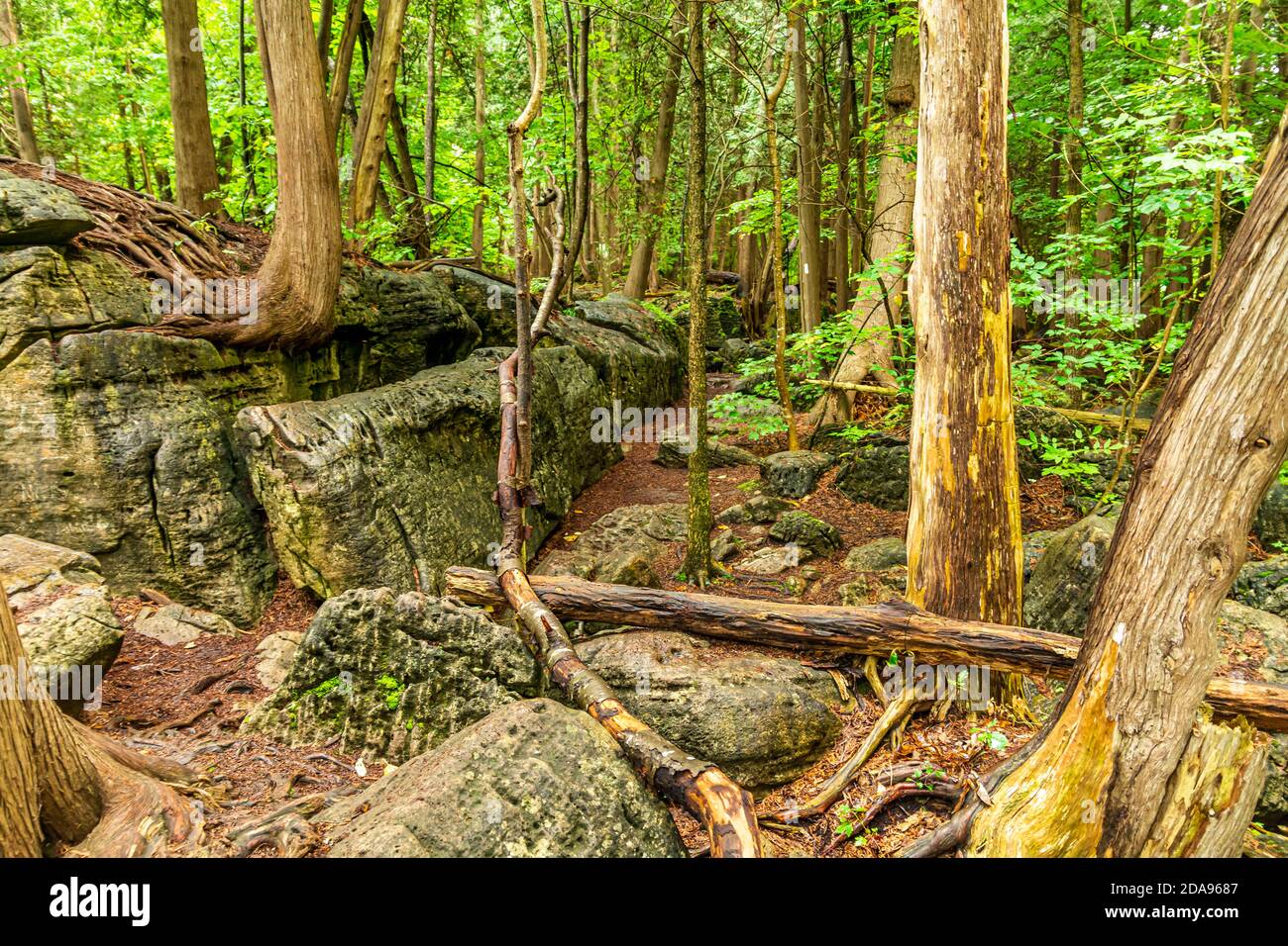 Durham Conservation Area and Hiking trail Stock Photo - Alamy