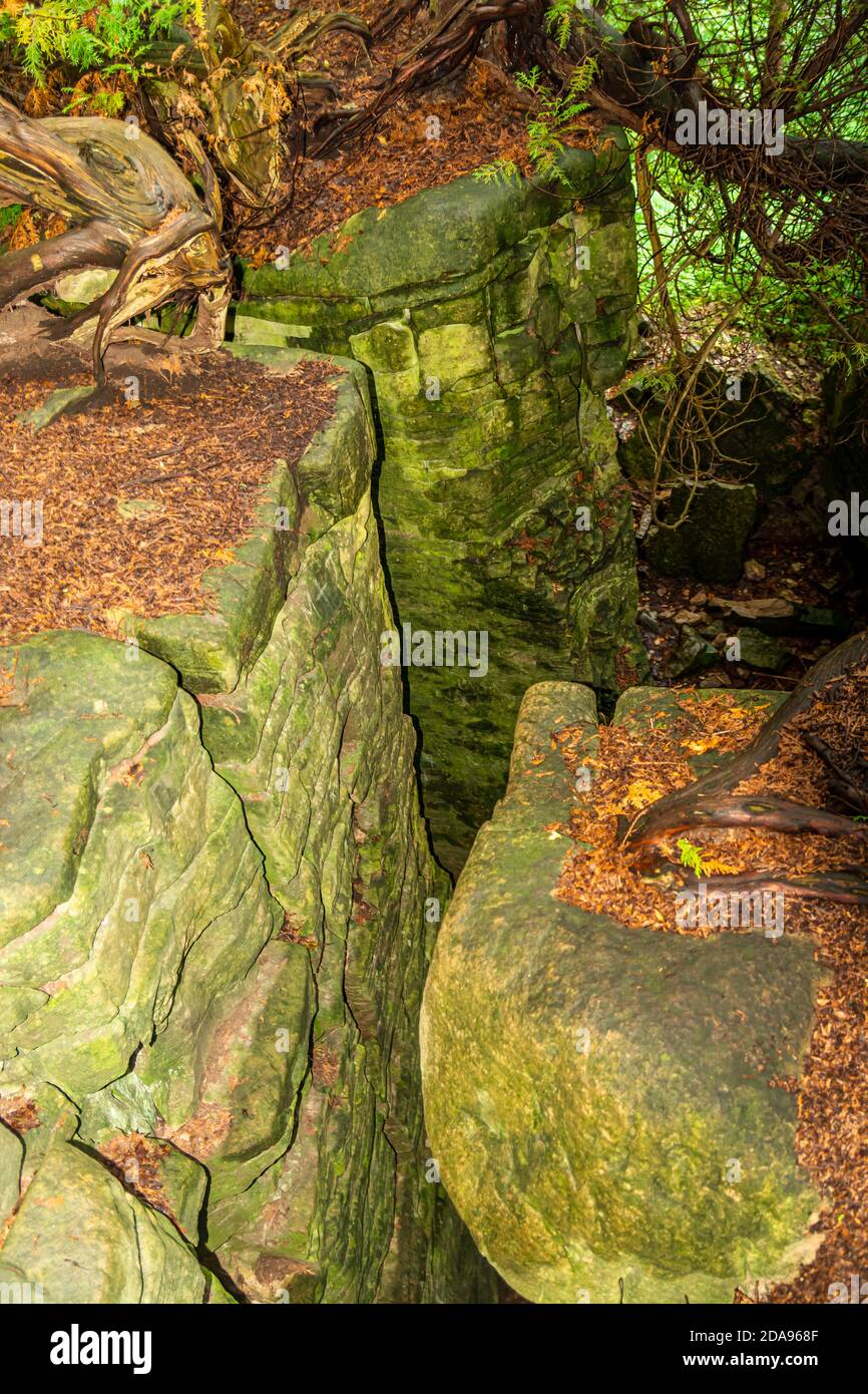 Durham Conservation Area and Hiking trail Stock Photo - Alamy