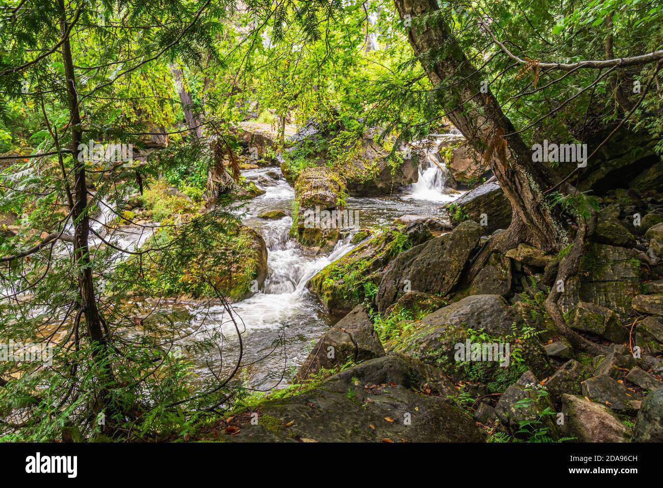 Durham Conservation Area and Hiking trail Stock Photo - Alamy