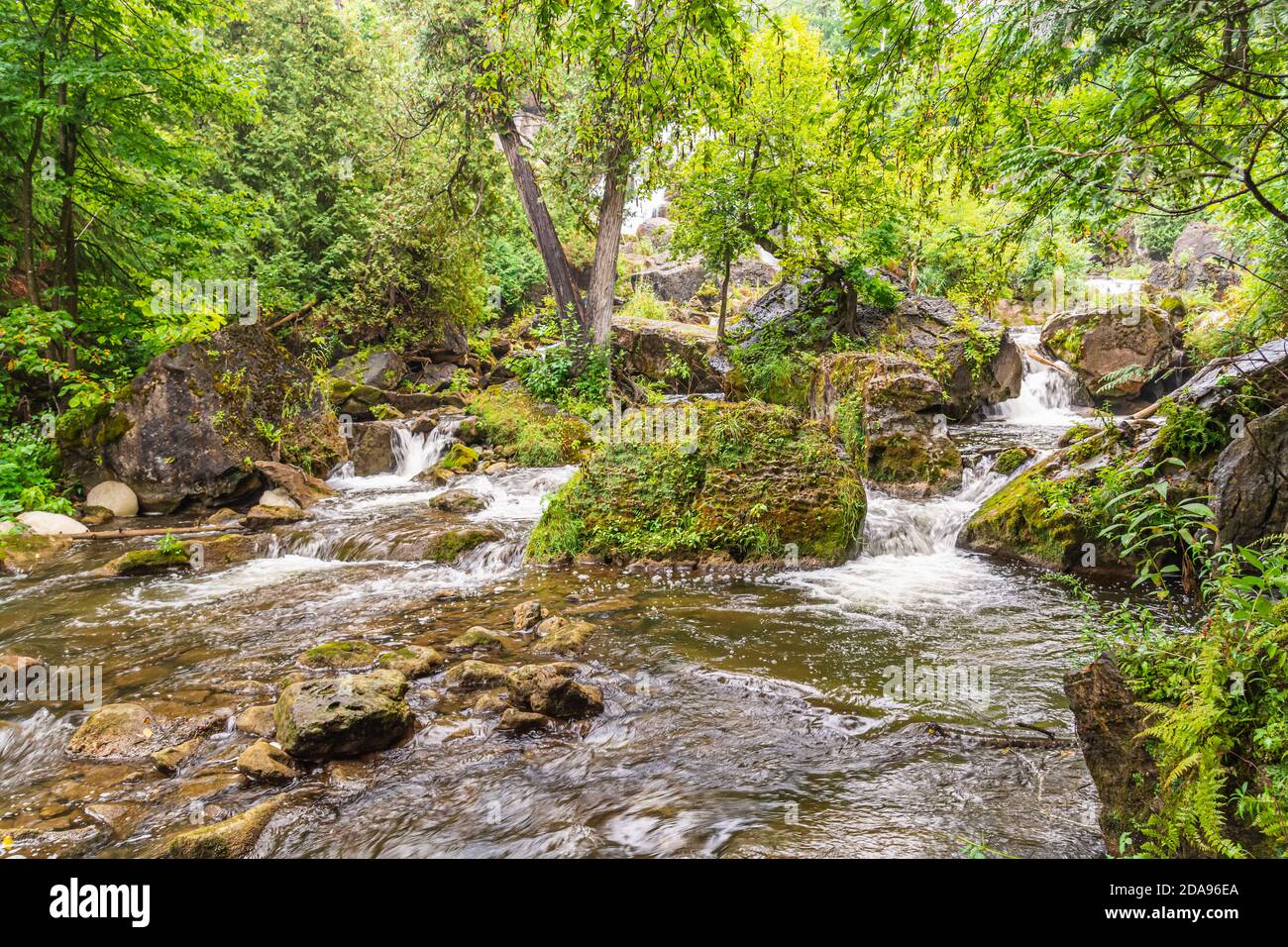 Durham Conservation Area and Hiking trail Stock Photo - Alamy