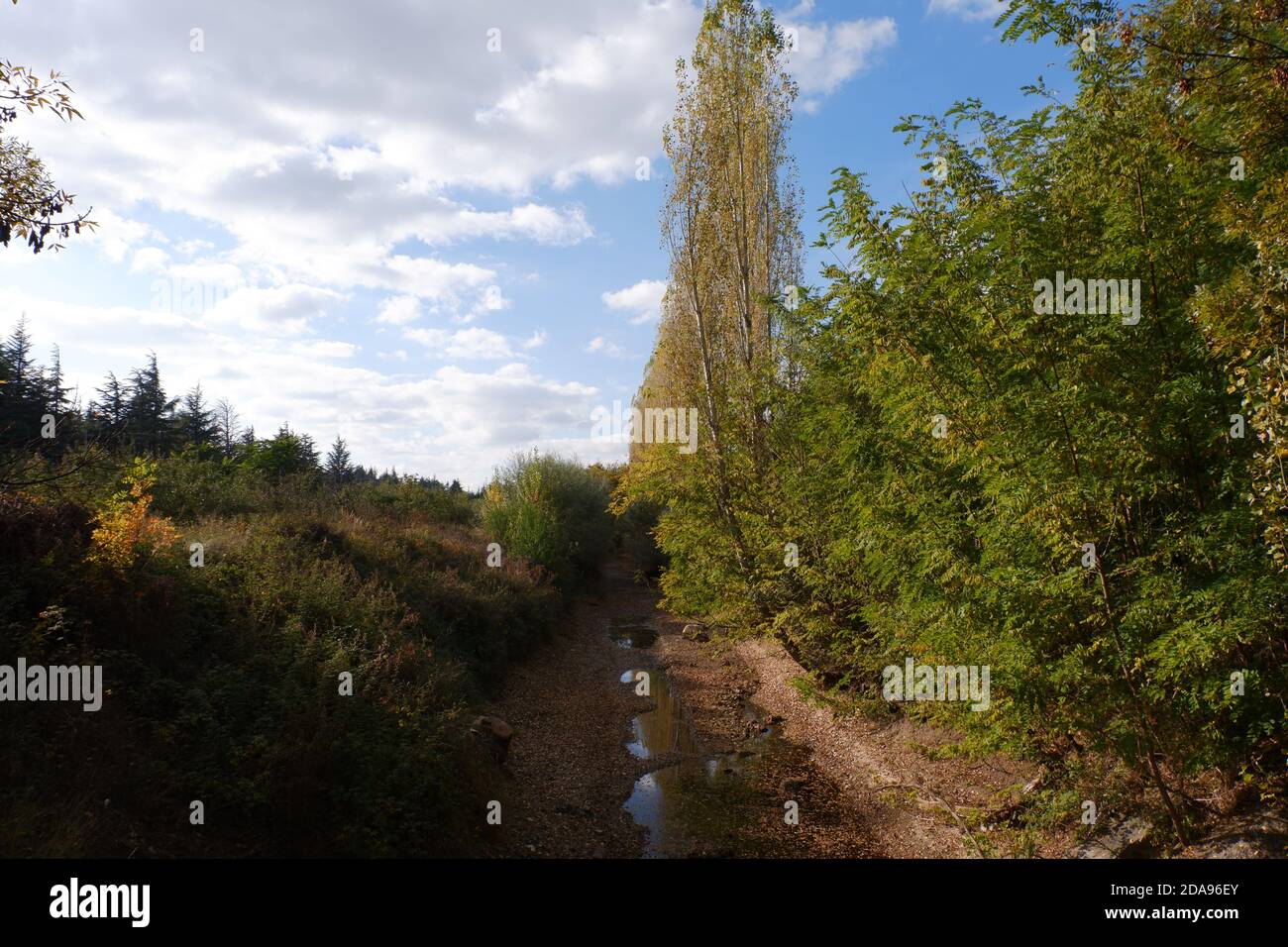 Dry river bed garden hi-res stock photography and images - Alamy
