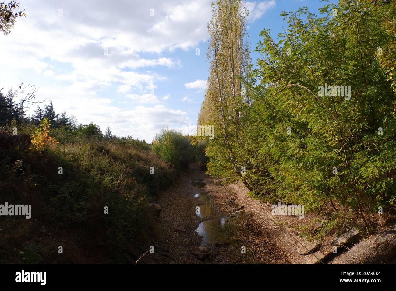 Dry river bed hi-res stock photography and images - Alamy