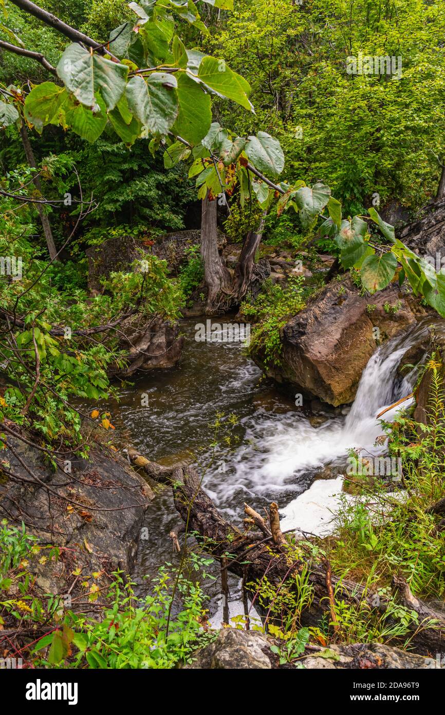 Durham Conservation Area and Hiking trail Stock Photo - Alamy