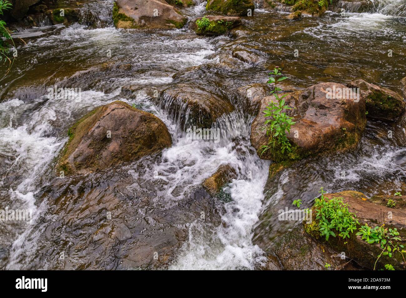 Durham Conservation Area and Hiking trail Stock Photo - Alamy
