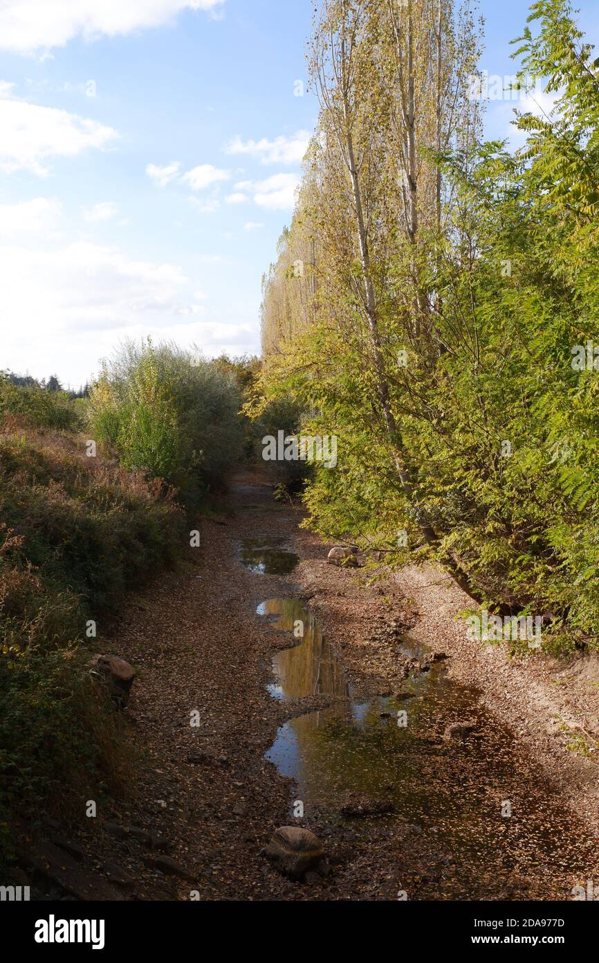 Dry river bed garden hi-res stock photography and images - Alamy