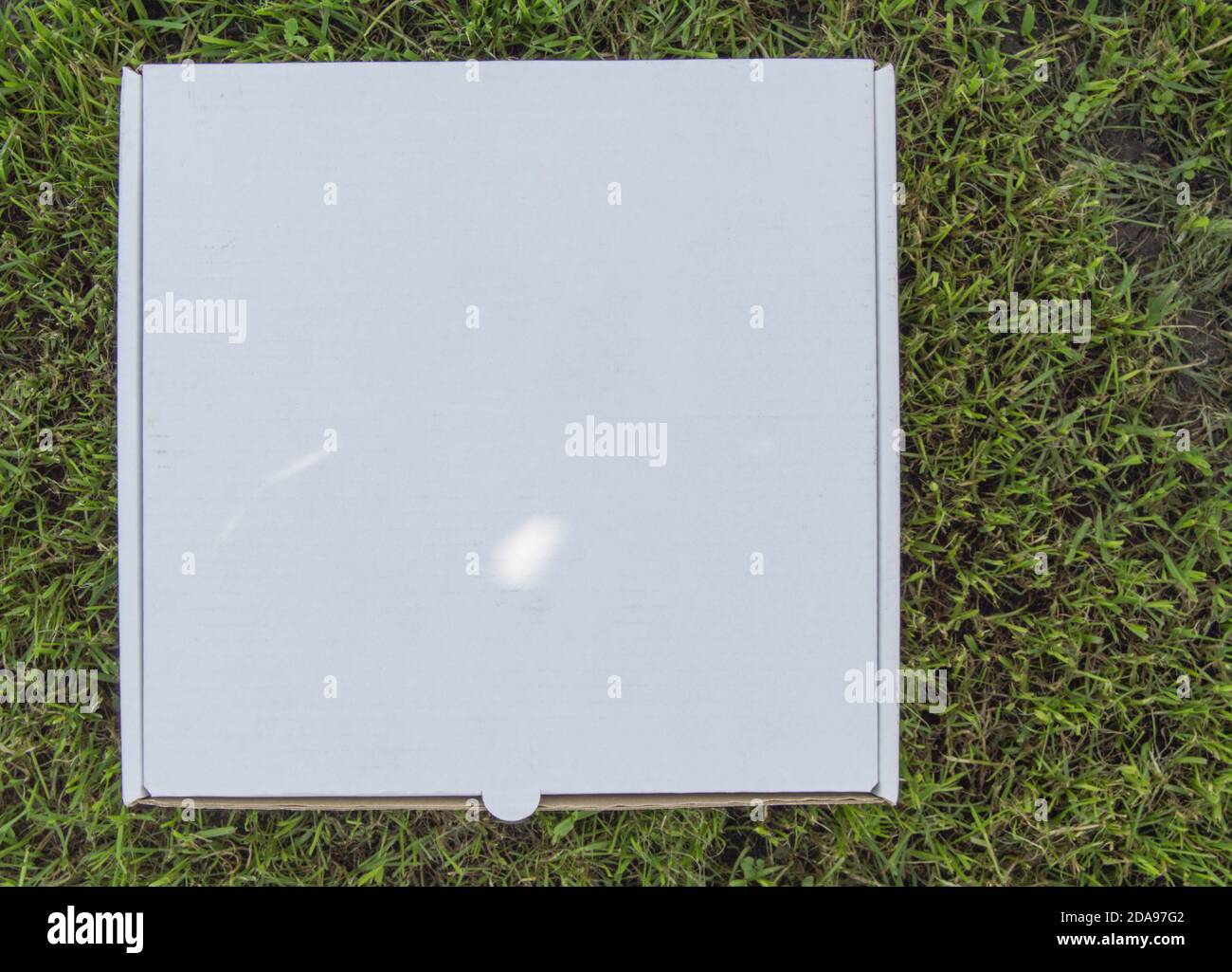 One white pizza box with a copy of the space on the green grass, pizza ...
