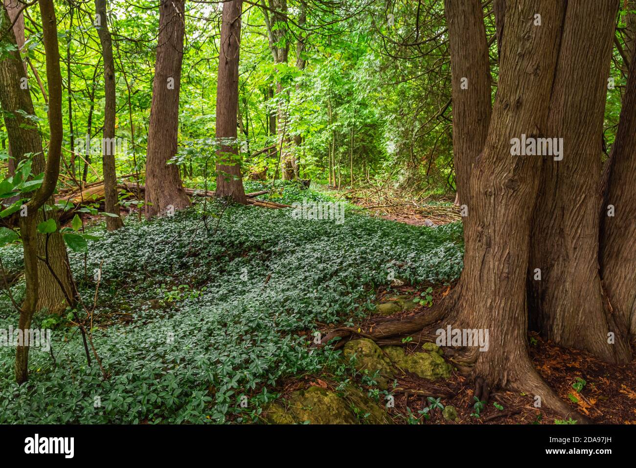 Durham Conservation Area and Hiking trail Stock Photo - Alamy