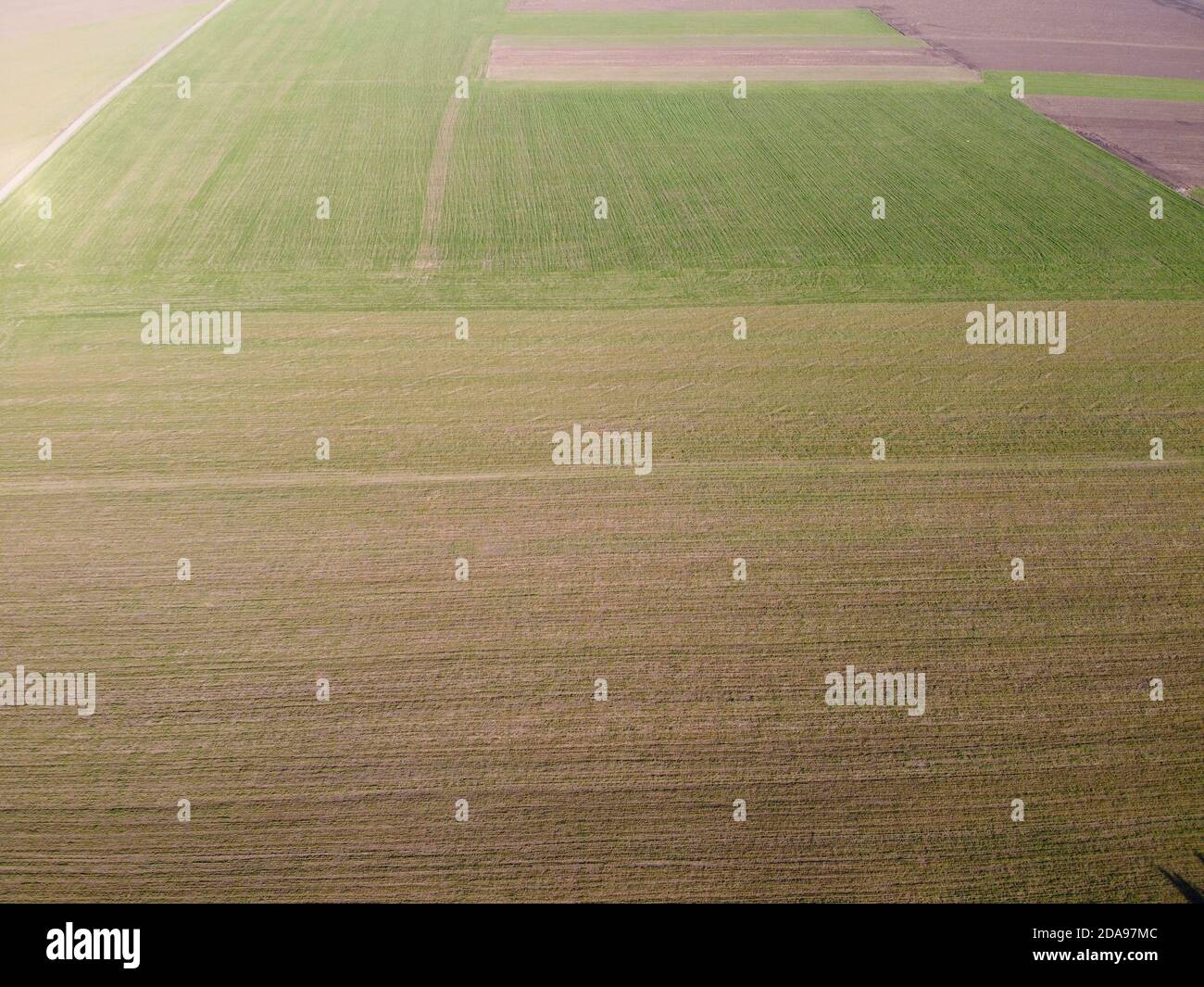 Destroyed crops hi-res stock photography and images - Alamy